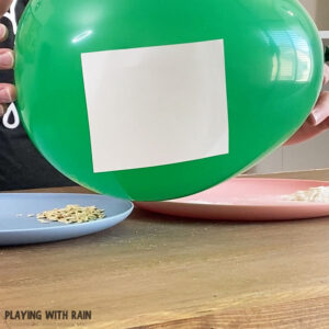 Balloon Static Electricity Experiment
