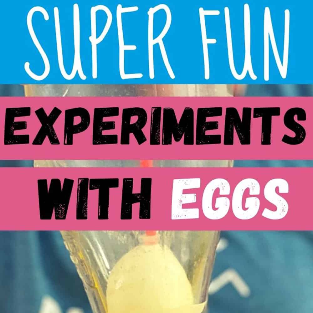 Egg Experiments For Kids - Playing With Rain