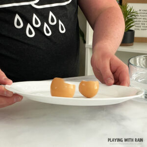 Spinning Eggshell Experiment