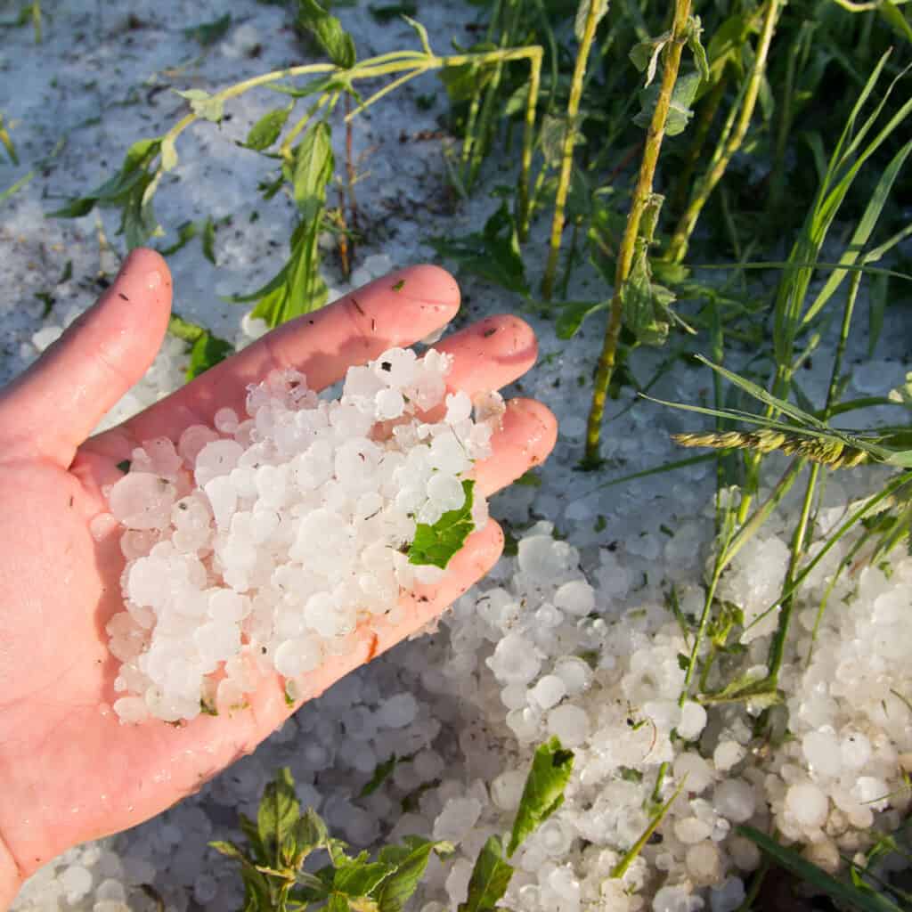 How Does Hail Form?